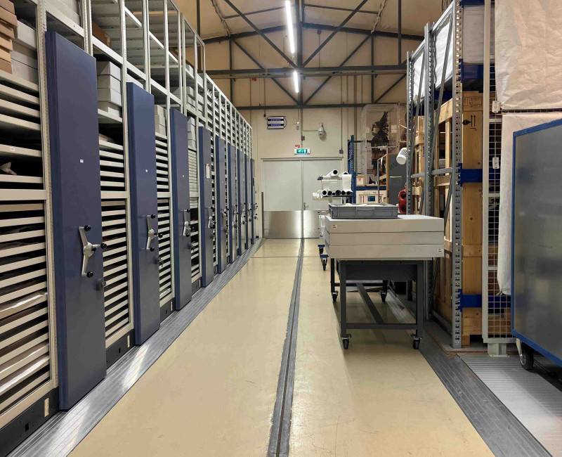 A Conversation with Richard and Sally Price | Research Center for ...