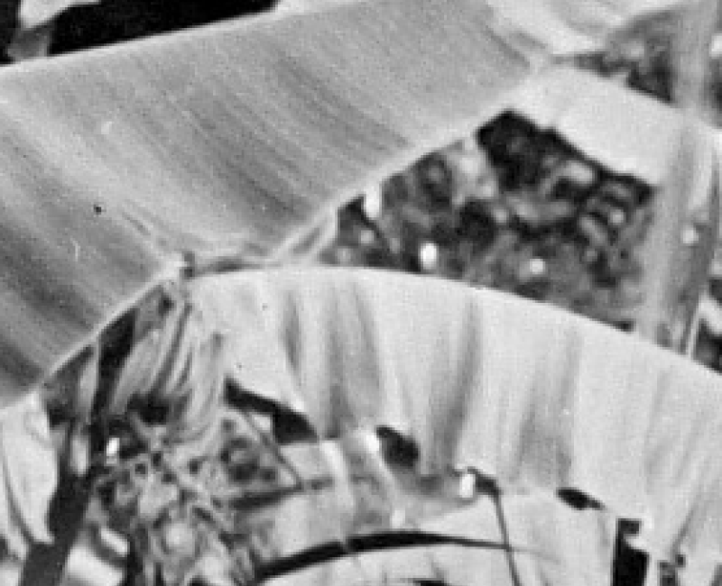 Keti Koti Talks '17: Perspectives on the Slavery Past and its Afterlife ...